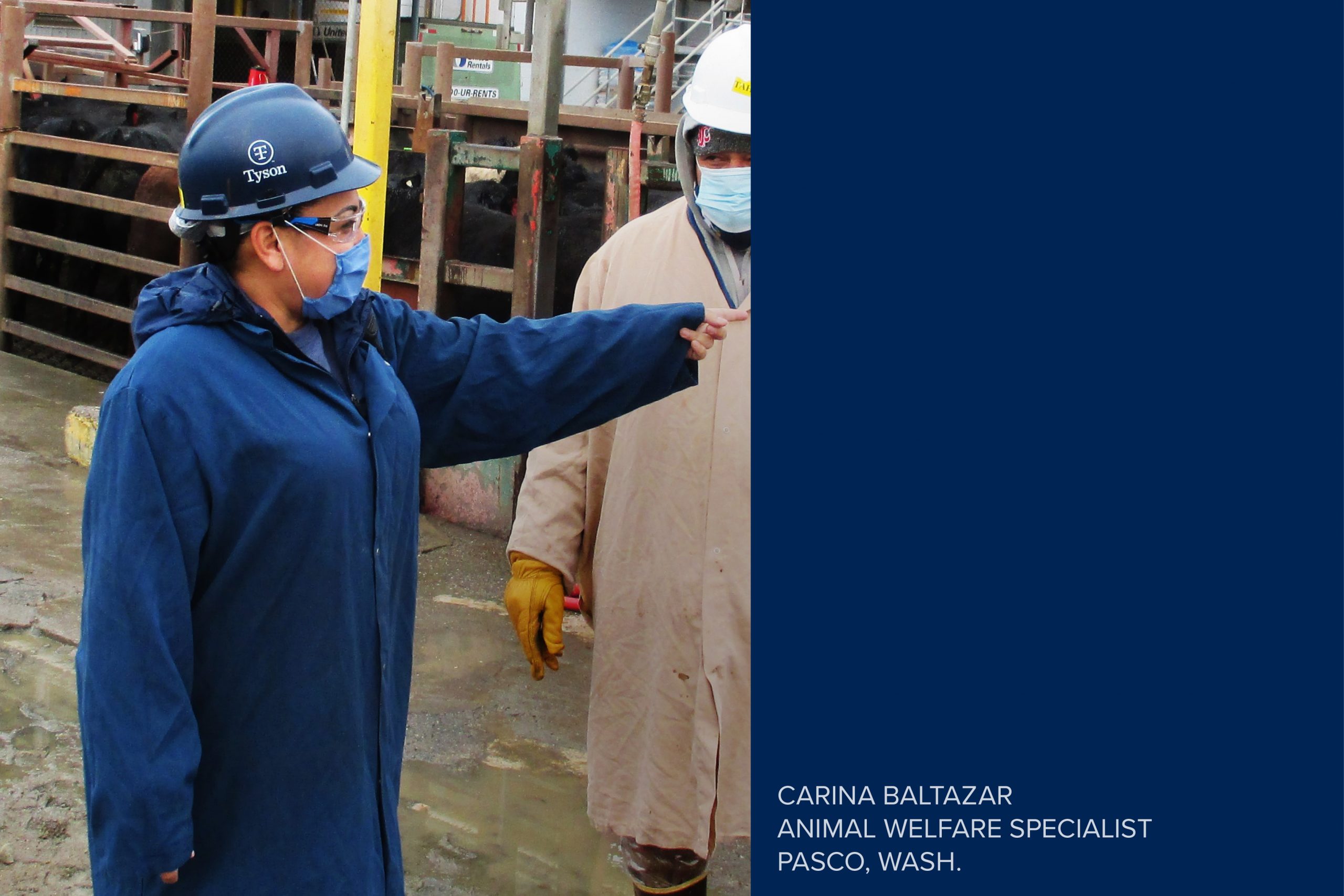 Tyson Employee Wins Award for Improving the Welfare of Cattle | Tyson Foods