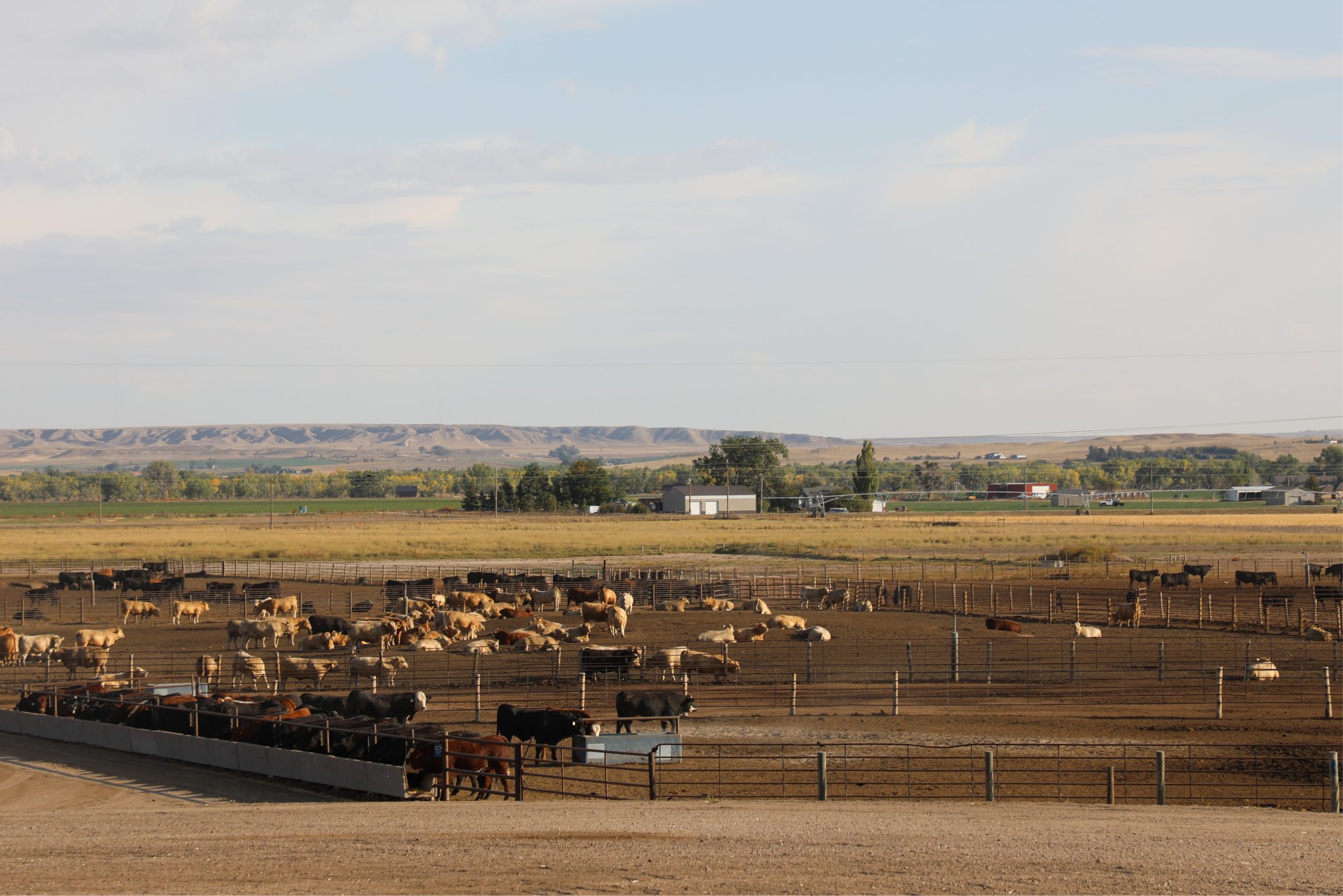 Meet the Next Generation of Leaders in Agriculture & Ranching | Tyson Foods